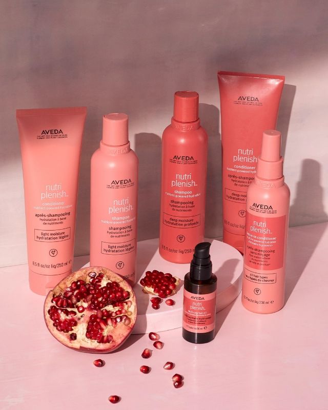 Diagnose (and Meet!) Your Hair’s Deepest Needs | Sanctuary Salonspa ...